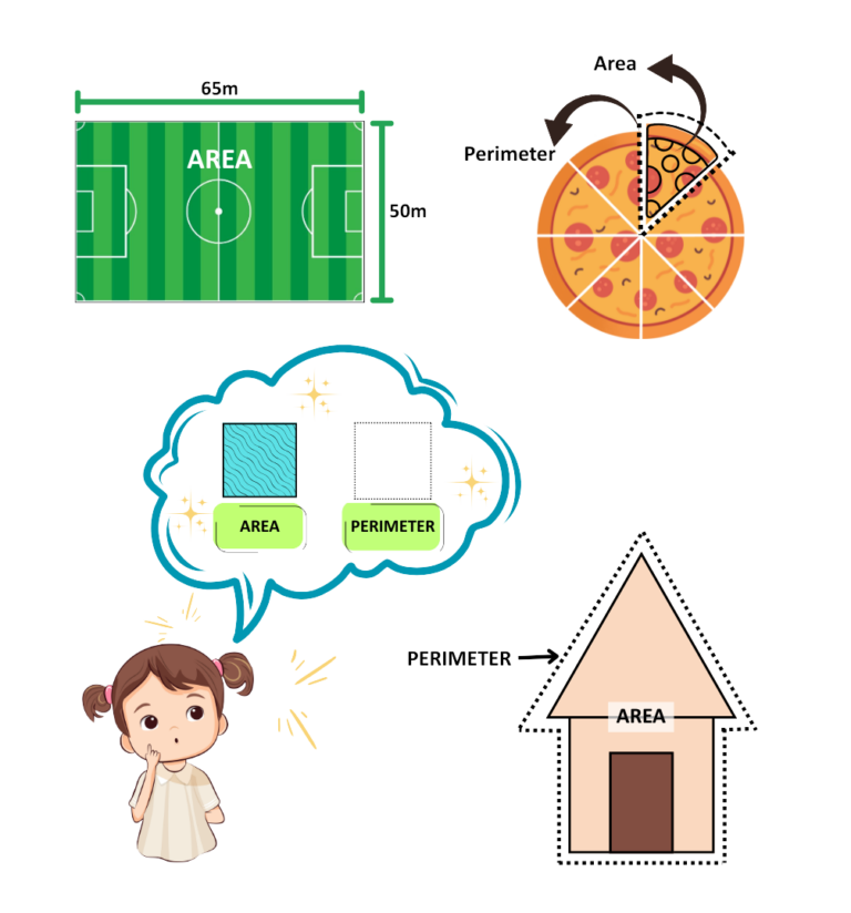 Area and Perimeter GCSE Maths| Explained with Examples