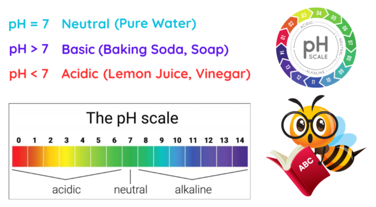 Acids – GCSE Chemistry | Explained with Examples
