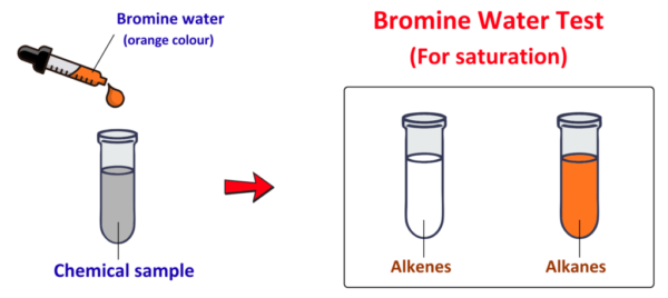 Hydrocarbons GCSE Chemistry | Explained with Examples