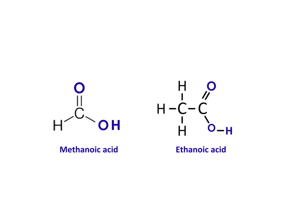 Alcohols and Carboxylic Acids - GCSE Chemistry | Examples