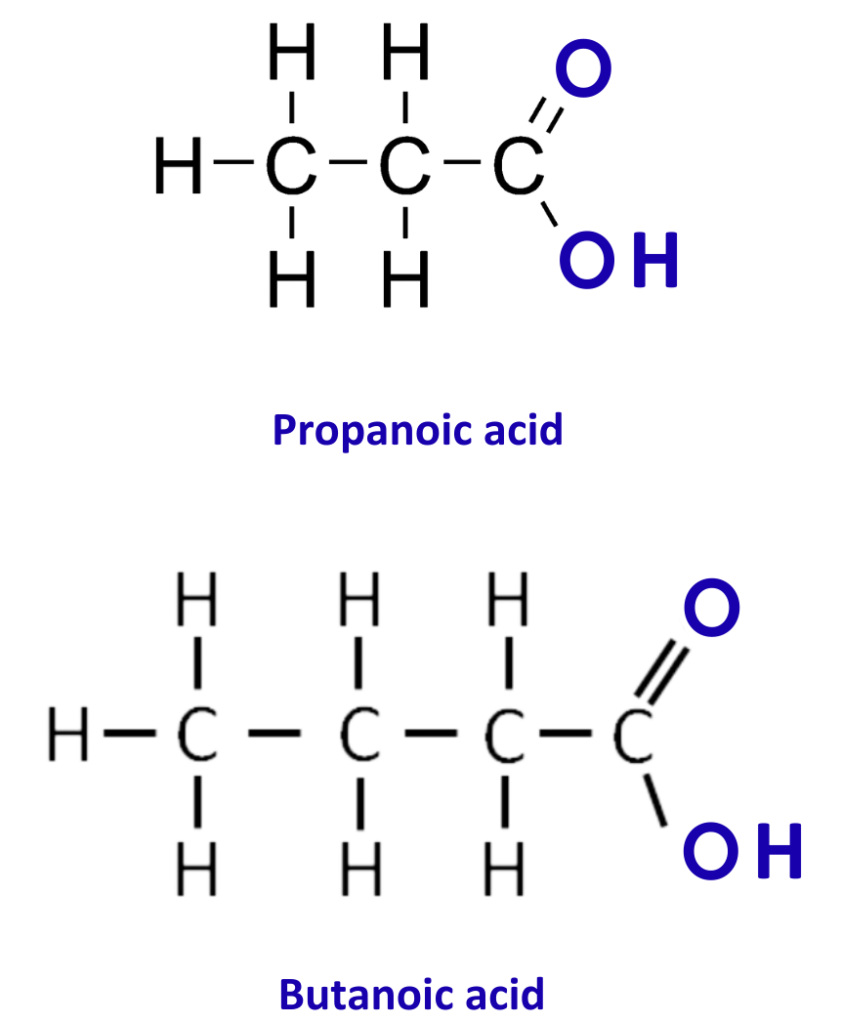 Alcohols and Carboxylic Acids - GCSE Chemistry | Examples